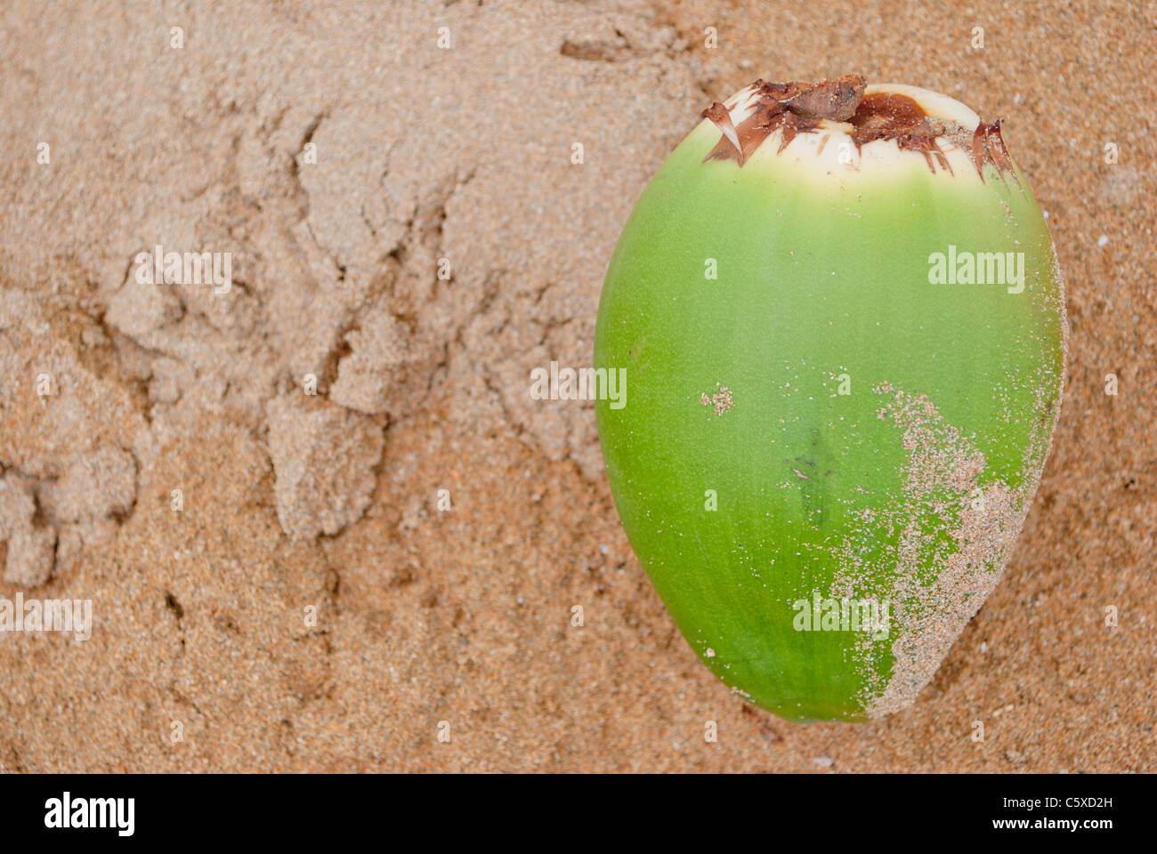 Coco nut on the sand Stock Photo - Alamy