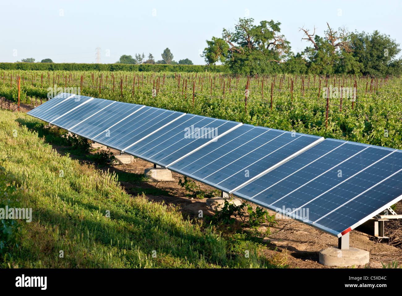 Solar system, vineyard Stock Photo - Alamy