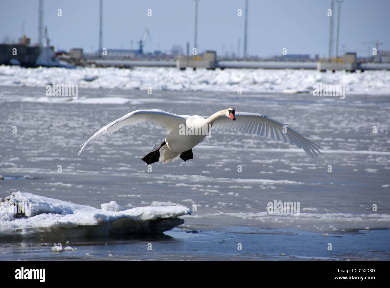 Feather motion hi-res stock photography and images - Alamy