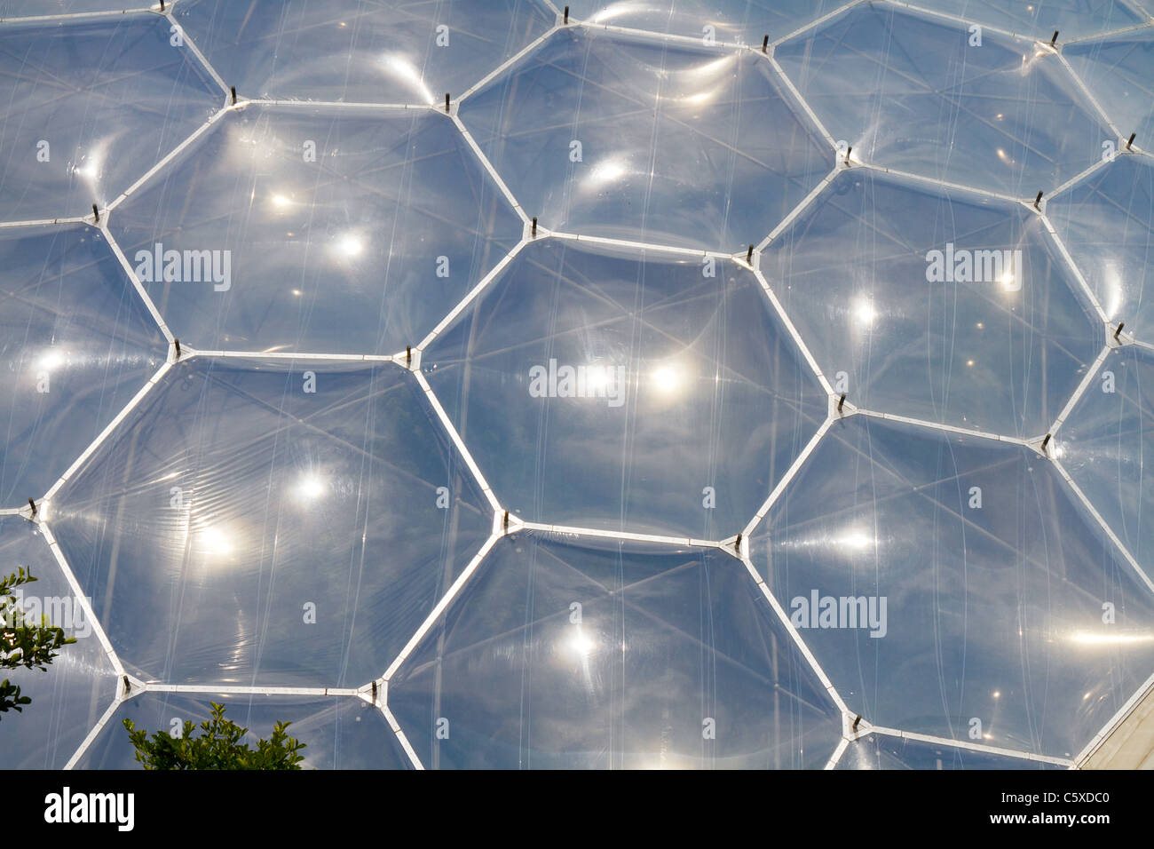 Biomes at the Eden Project, Cornwall Stock Photo - Alamy