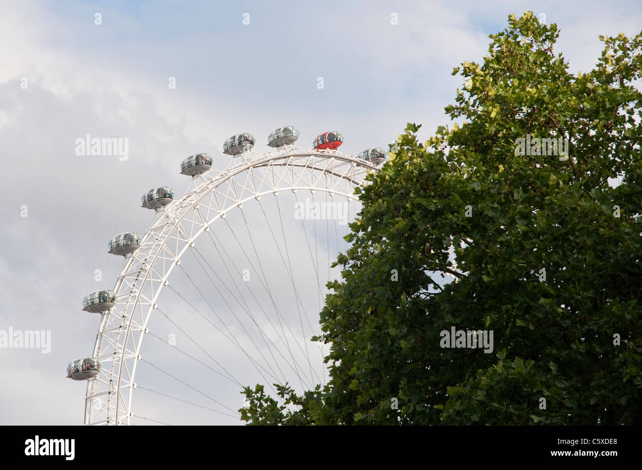 The large ferris wheel known as the 'London Eye' seen behind trees on ...