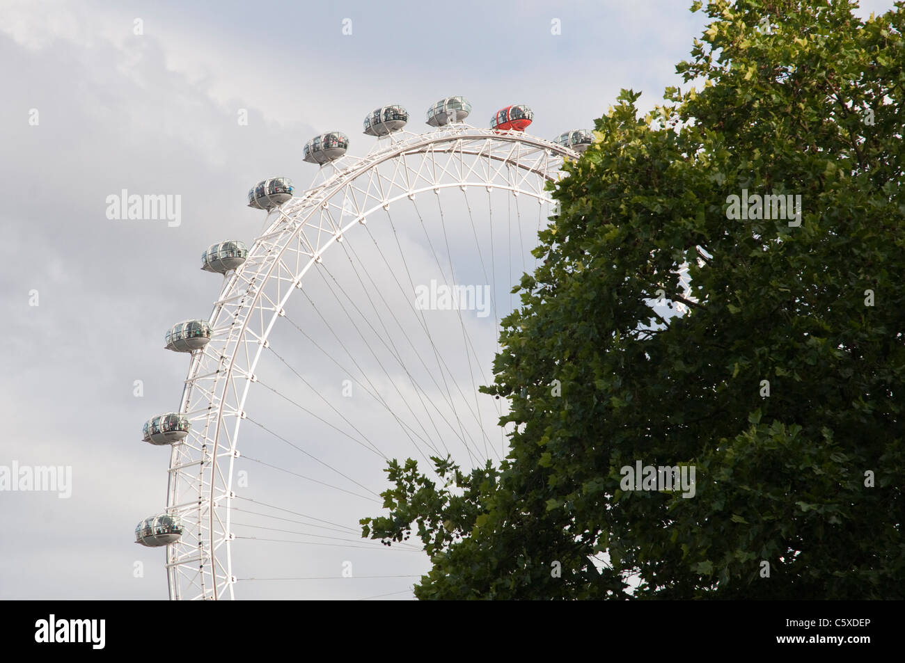 The large ferris wheel known as the 'London Eye' seen behind trees on ...