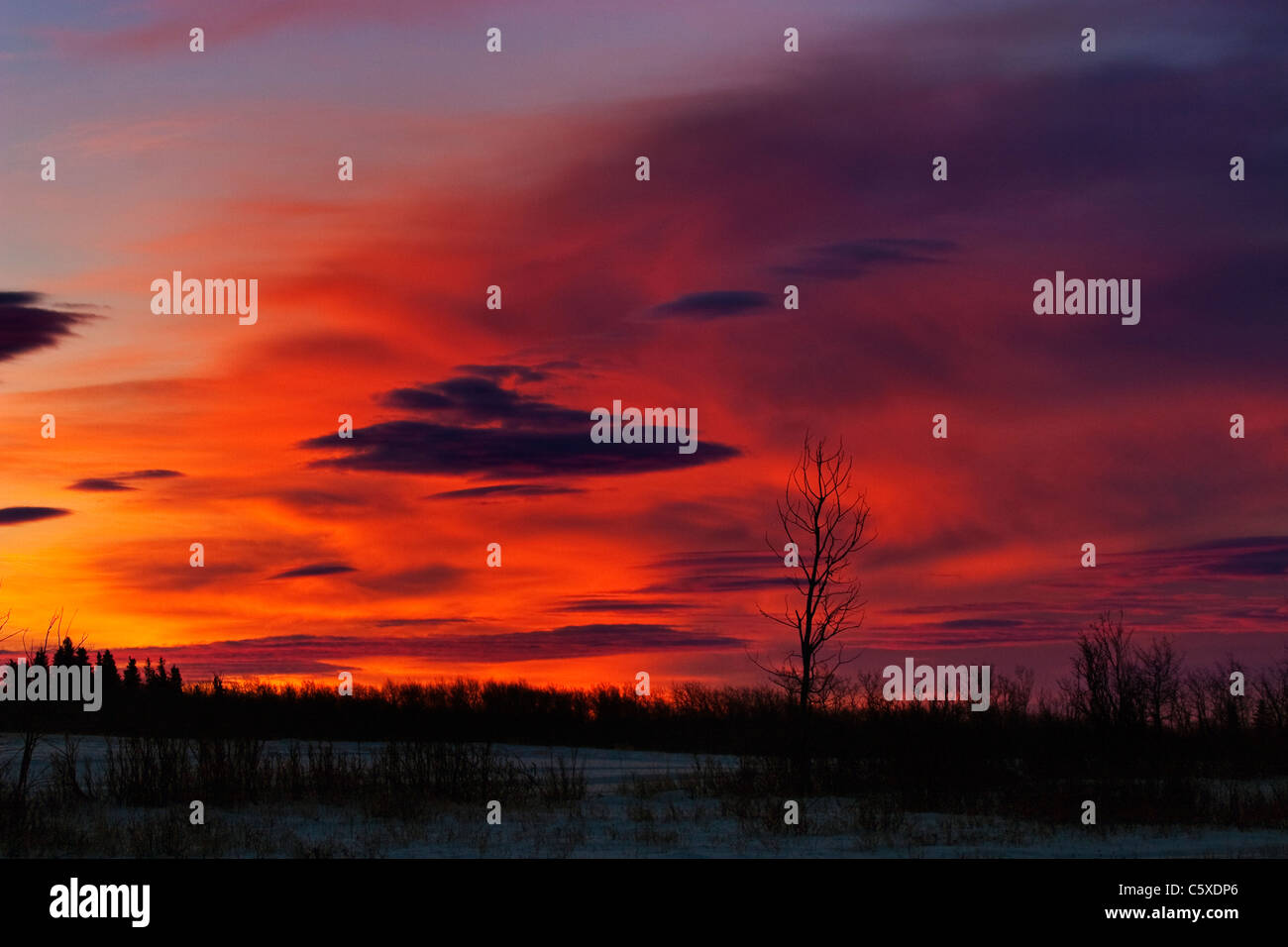 Beautiful red sky at sunset in Beaverlodge in Canada Stock Photo - Alamy