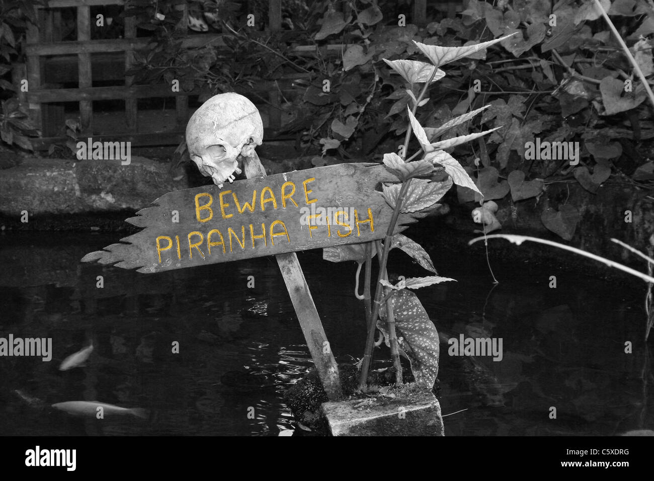 beware of piranha fish sign in pond Tropical Butterfly House, Wildlife ...