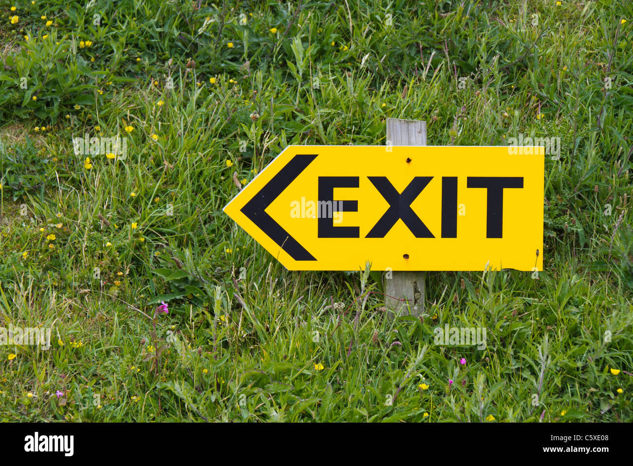 Left pointing yellow exit sign on wooden post in grass Stock Photo - Alamy
