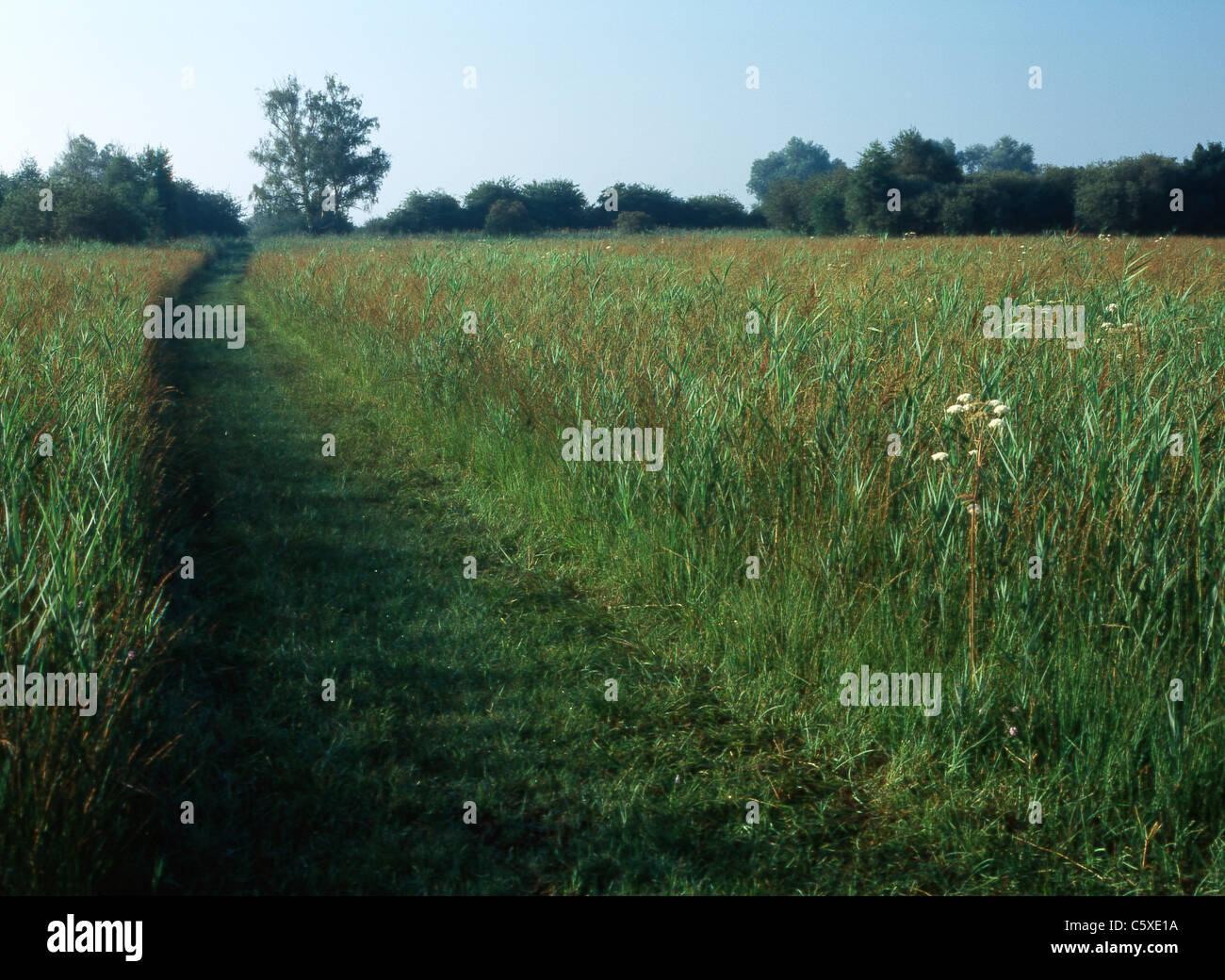 Fen landscape hi-res stock photography and images - Alamy