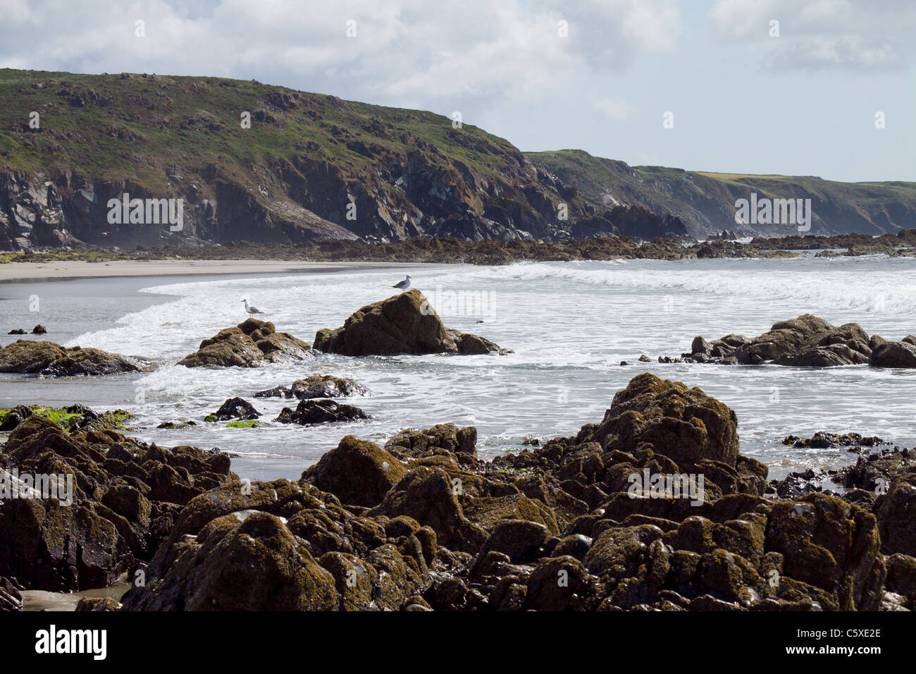 Kennack Sands, The Lizard Peninsula, Cornwall, UK Stock Photo - Alamy