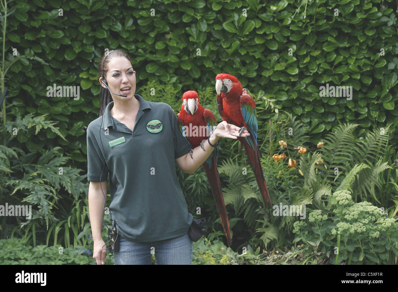 Woman giving talk outside hi-res stock photography and images - Alamy
