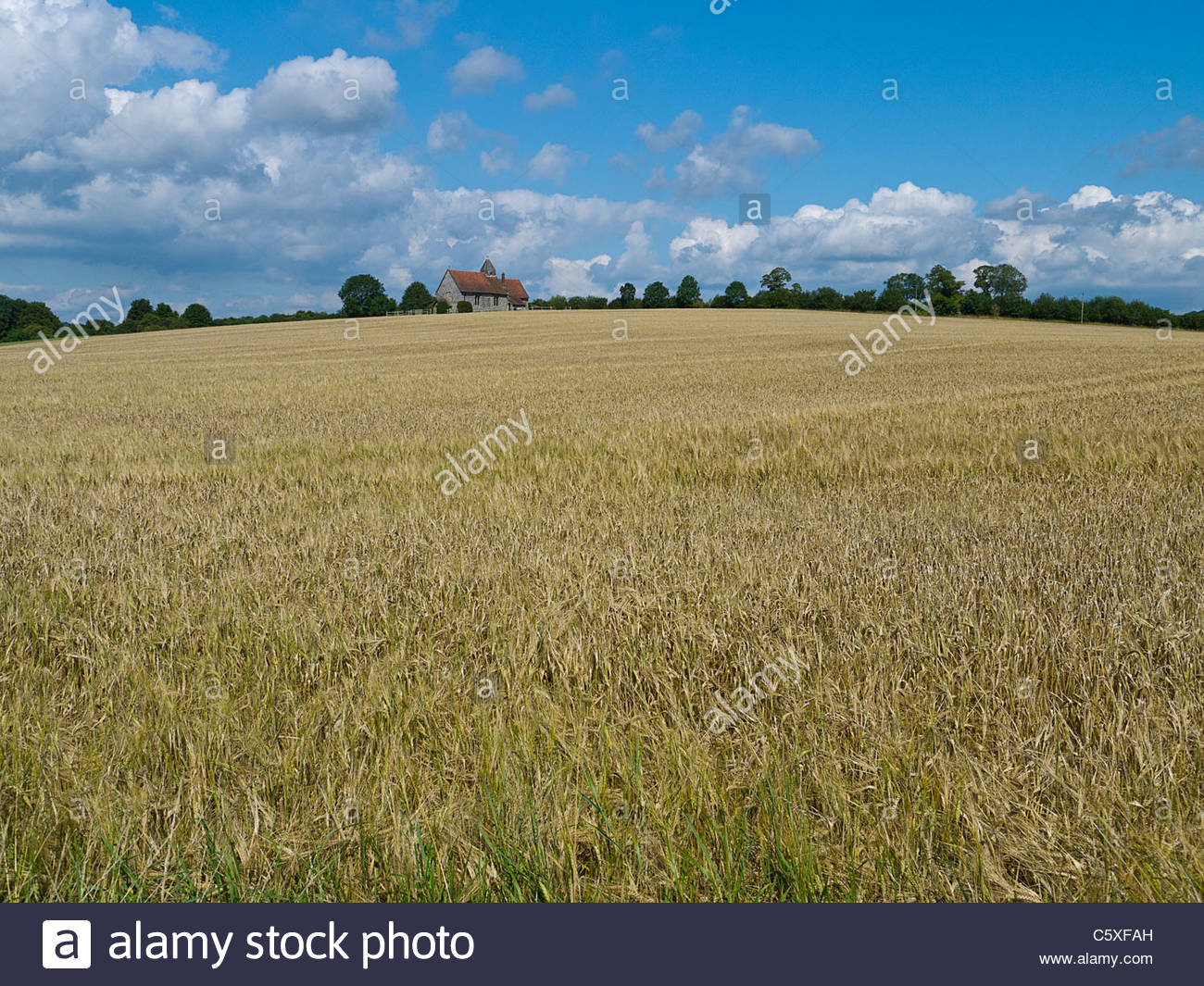 Idsworth Stock Photos & Idsworth Stock Images - Alamy