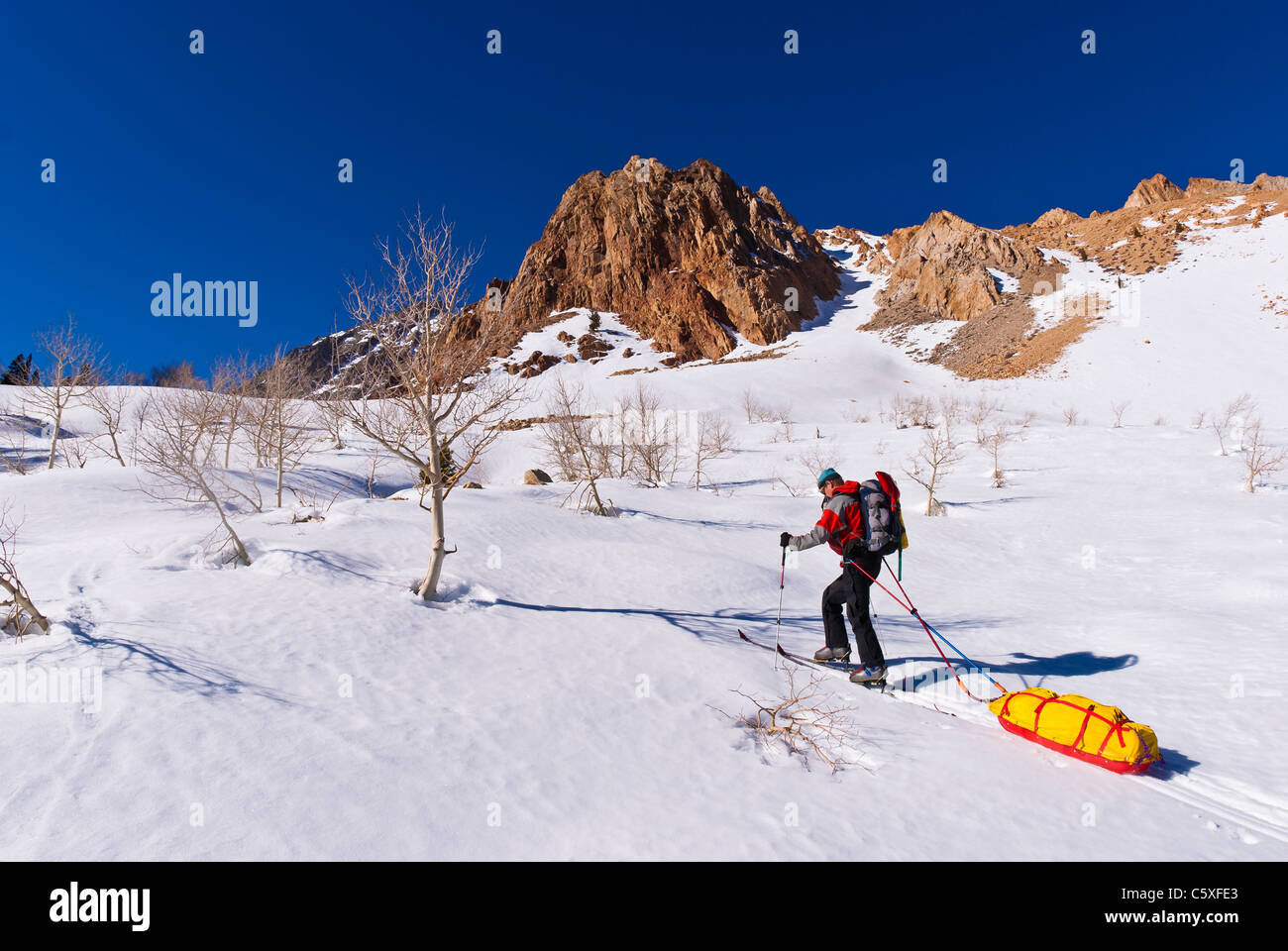 Backcountry skier heading up Piute Pass, Inyo National Forest, Sierra ...