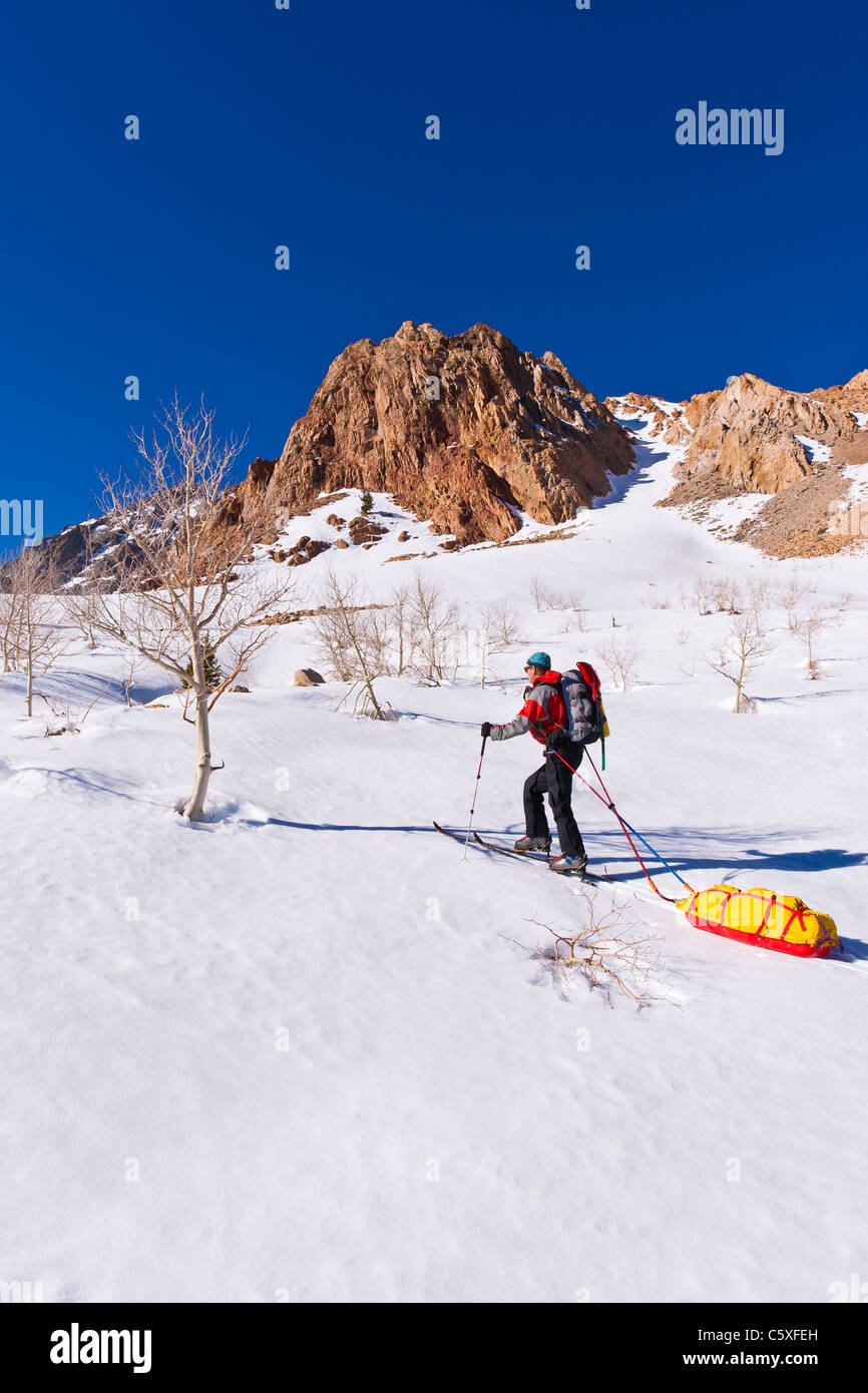 Backcountry skier heading up Piute Pass, Inyo National Forest, Sierra ...