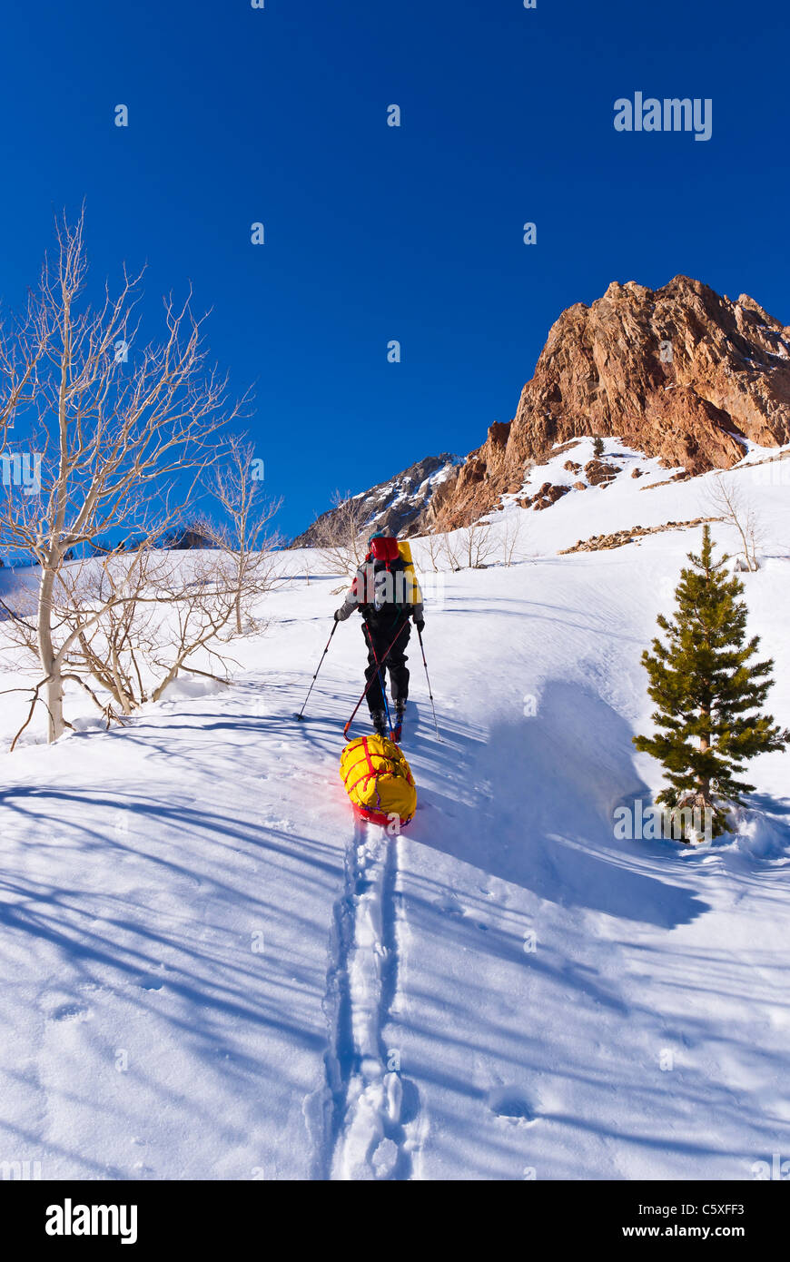 Backcountry skier heading up Piute Pass, Inyo National Forest, Sierra ...