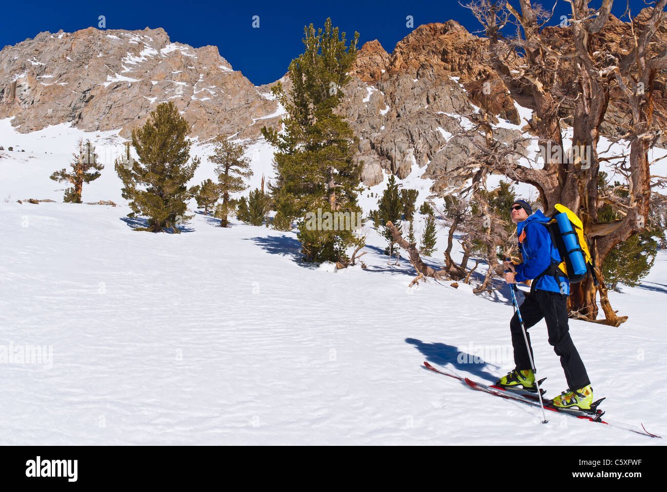 Backcountry skier climbing Piute Pass, Inyo National Forest, Sierra ...