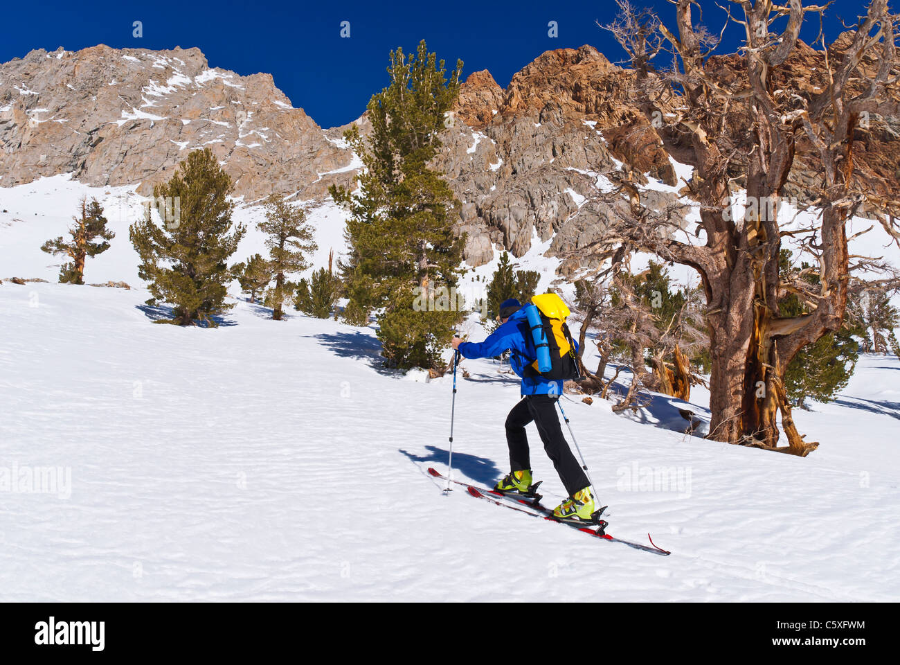 Backcountry skier climbing Piute Pass, Inyo National Forest, Sierra ...