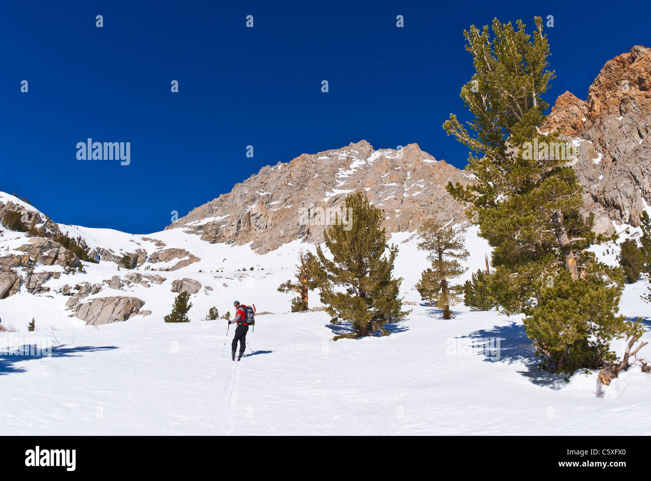 Backcountry skier climbing Piute Pass, Inyo National Forest, Sierra ...