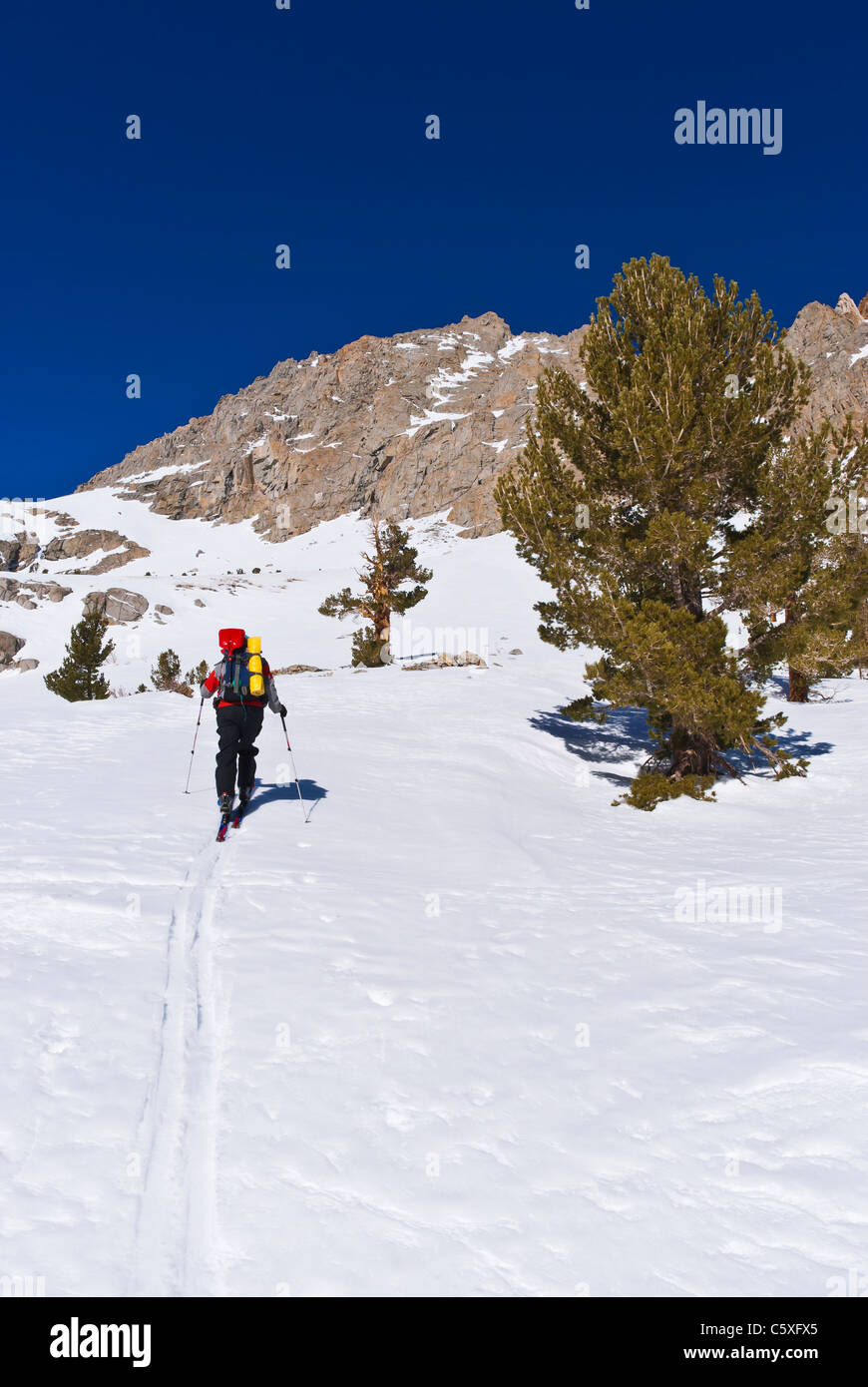 Backcountry skier climbing Piute Pass, Inyo National Forest, Sierra ...