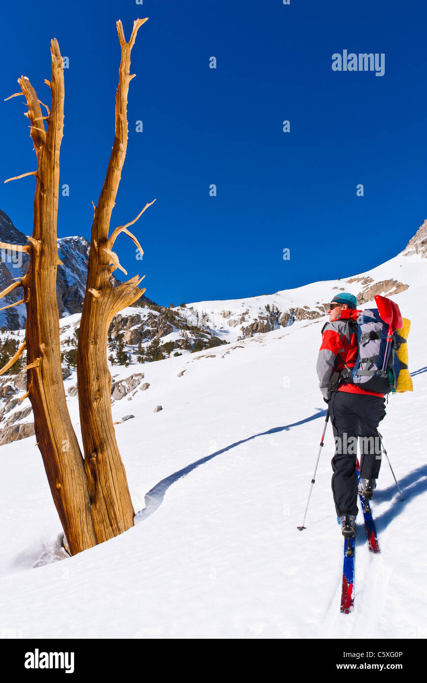 Backcountry skier climbing Piute Pass, Inyo National Forest, Sierra ...