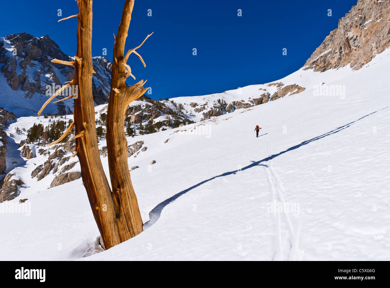 Backcountry skier climbing Piute Pass, Inyo National Forest, Sierra ...