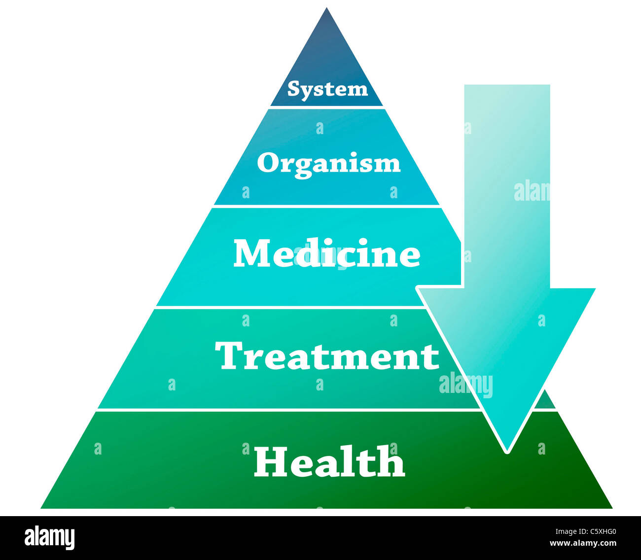Health graphic on pyramid illustration Stock Photo - Alamy