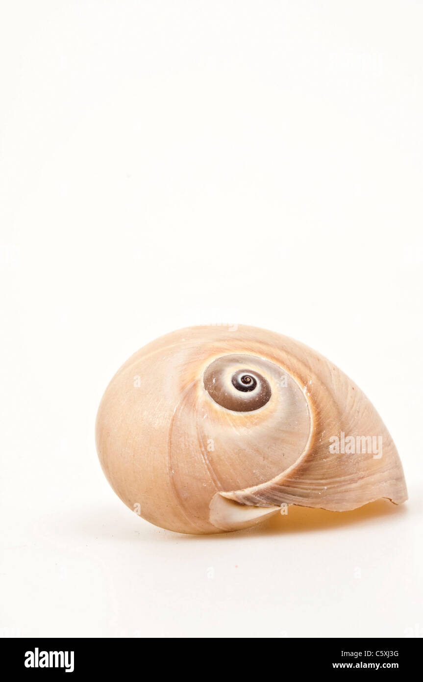 Beautiful tropical beach nature background Cut Out Stock Images ...