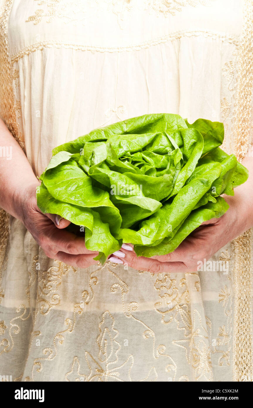 Food in woman hand Stock Photo - Alamy
