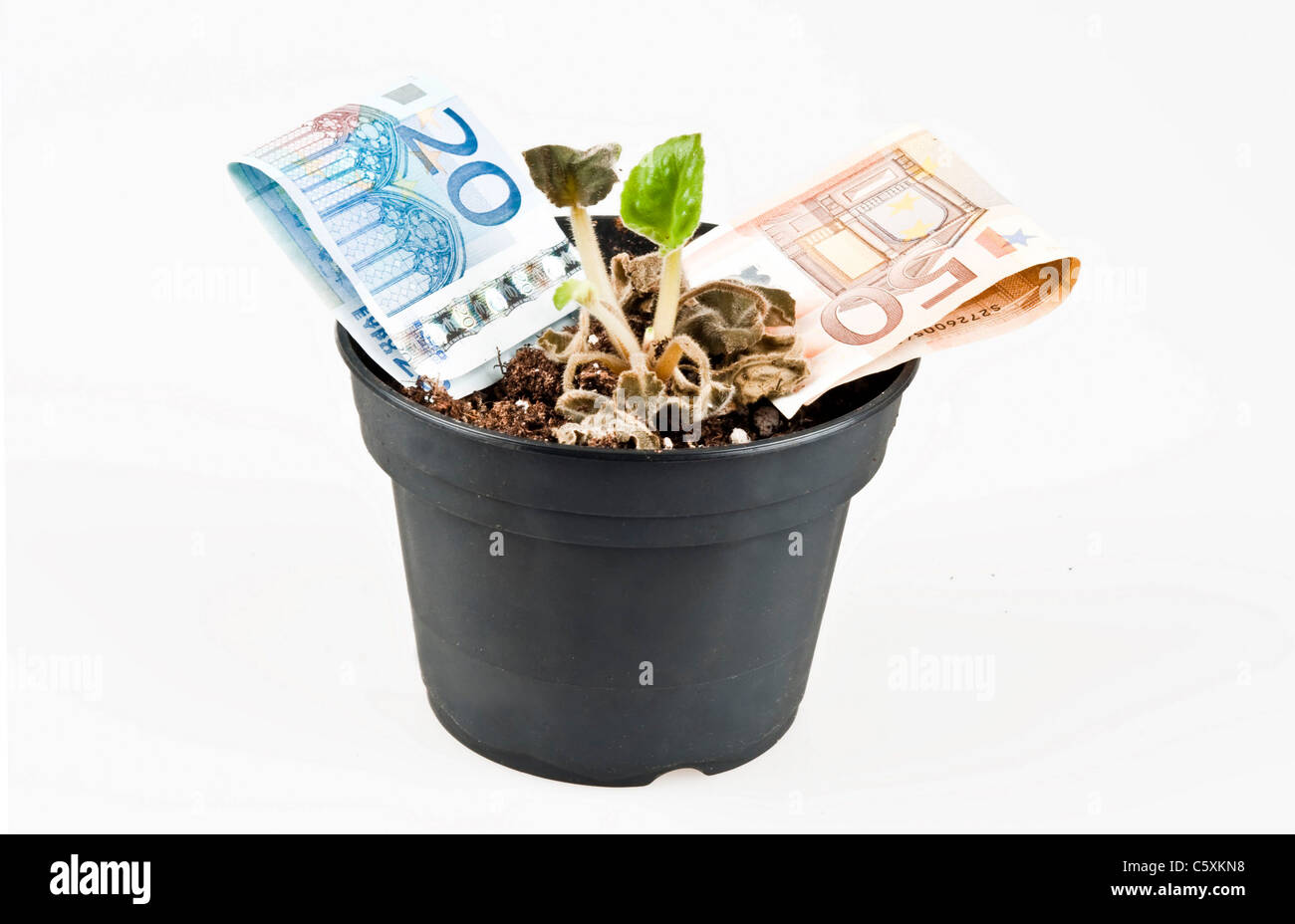 Money pot growing hi-res stock photography and images - Alamy