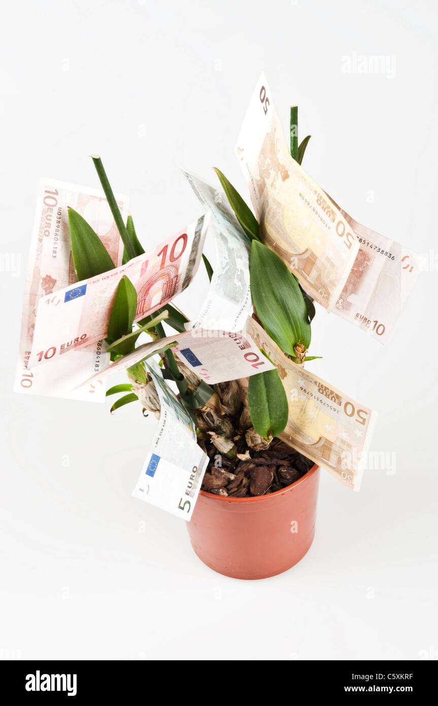 Making money grow savings hi-res stock photography and images - Alamy