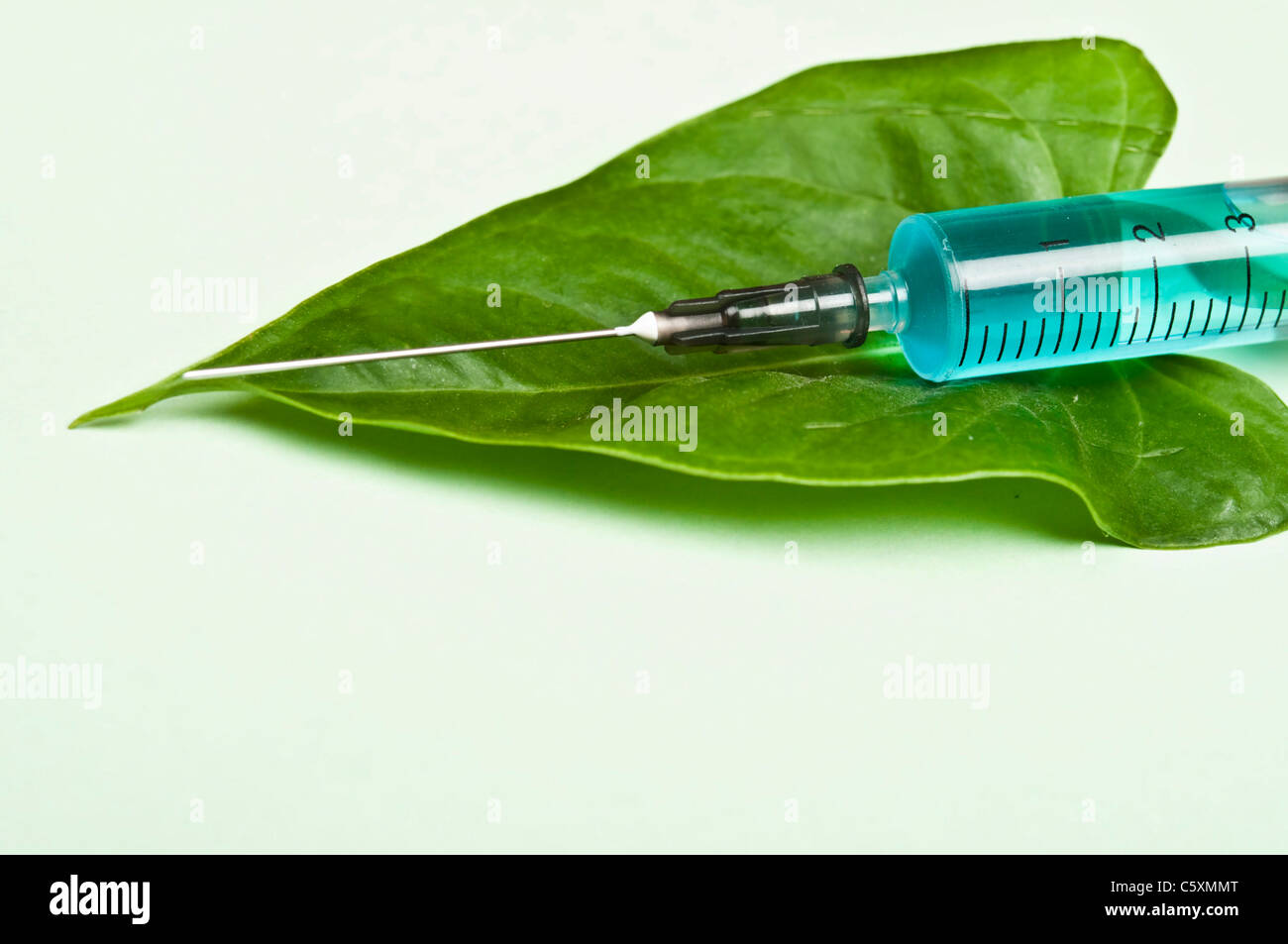 Syringe on an green leaf Stock Photo - Alamy