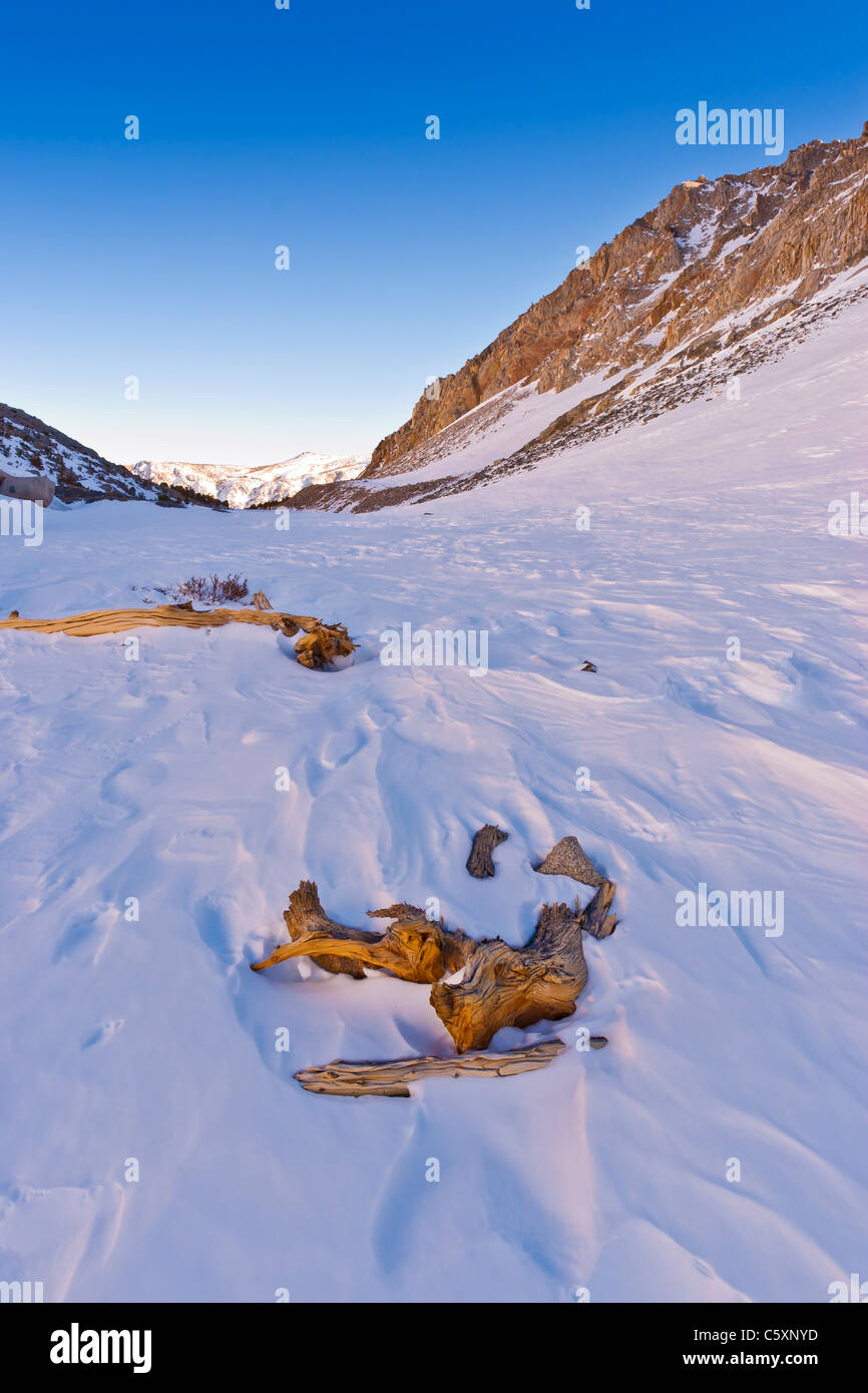 Windswept snow below Piute Pass, Inyo National Forest, Sierra Nevada ...