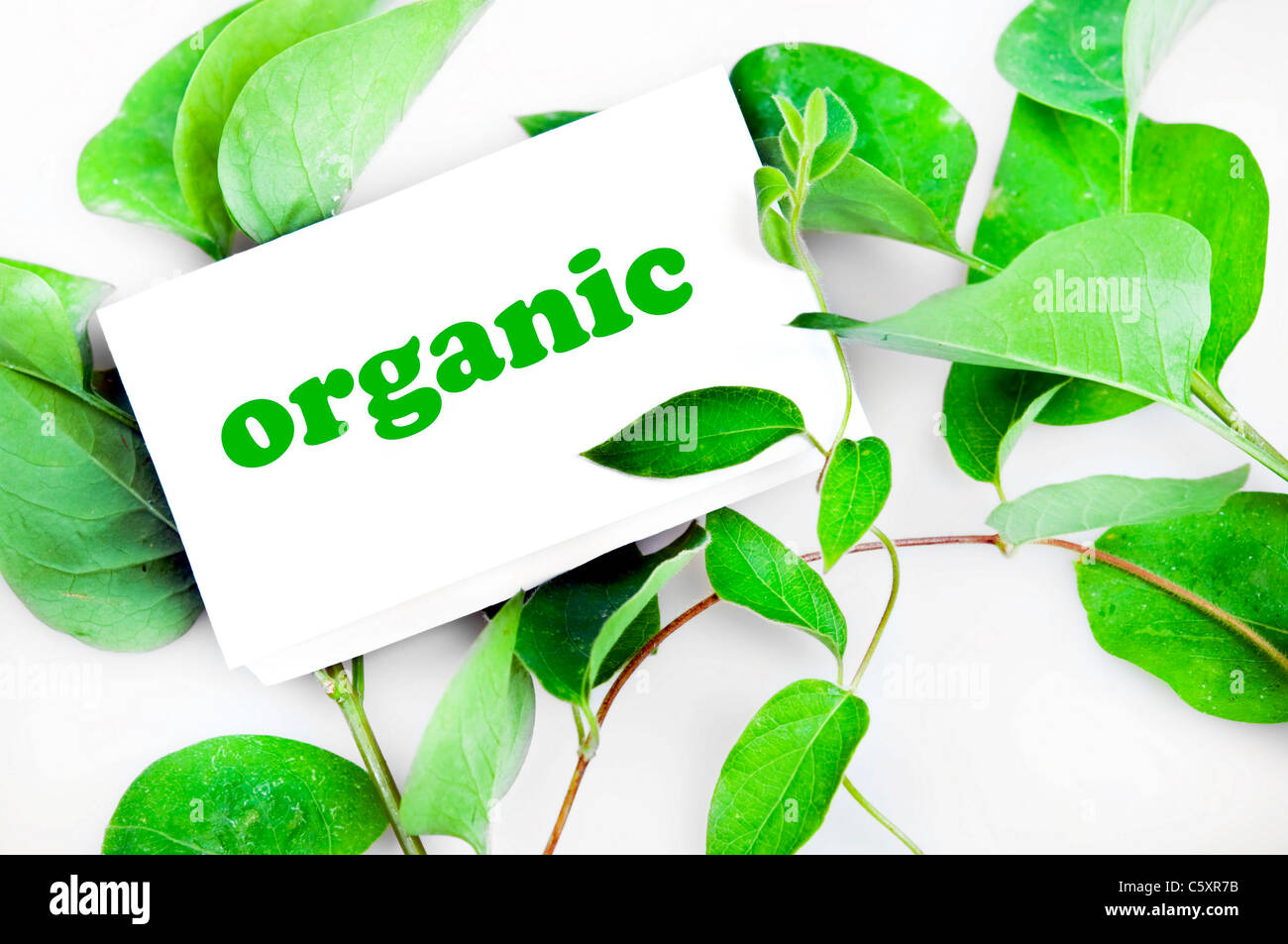Nature organic hi-res stock photography and images - Alamy