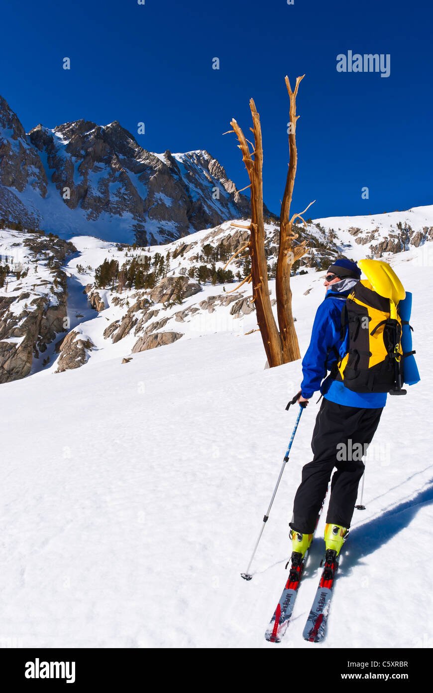 Backcountry skier climbing Piute Pass, Inyo National Forest, Sierra ...