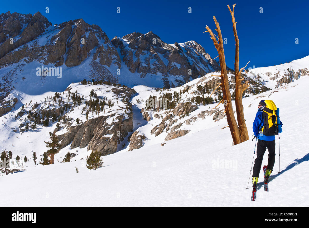 Backcountry skier climbing Piute Pass, Inyo National Forest, Sierra ...