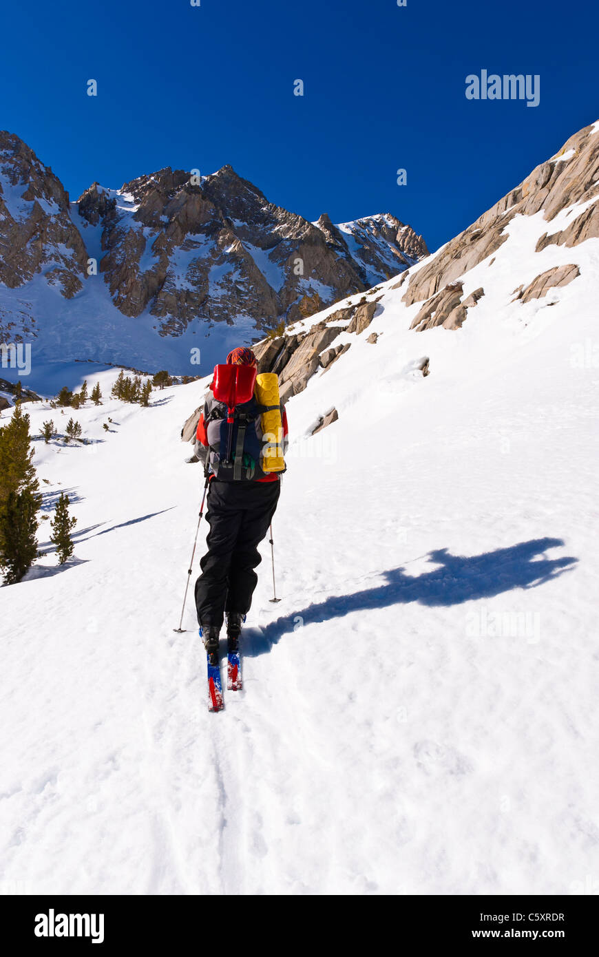 Backcountry skier climbing Piute Pass, Inyo National Forest, Sierra ...