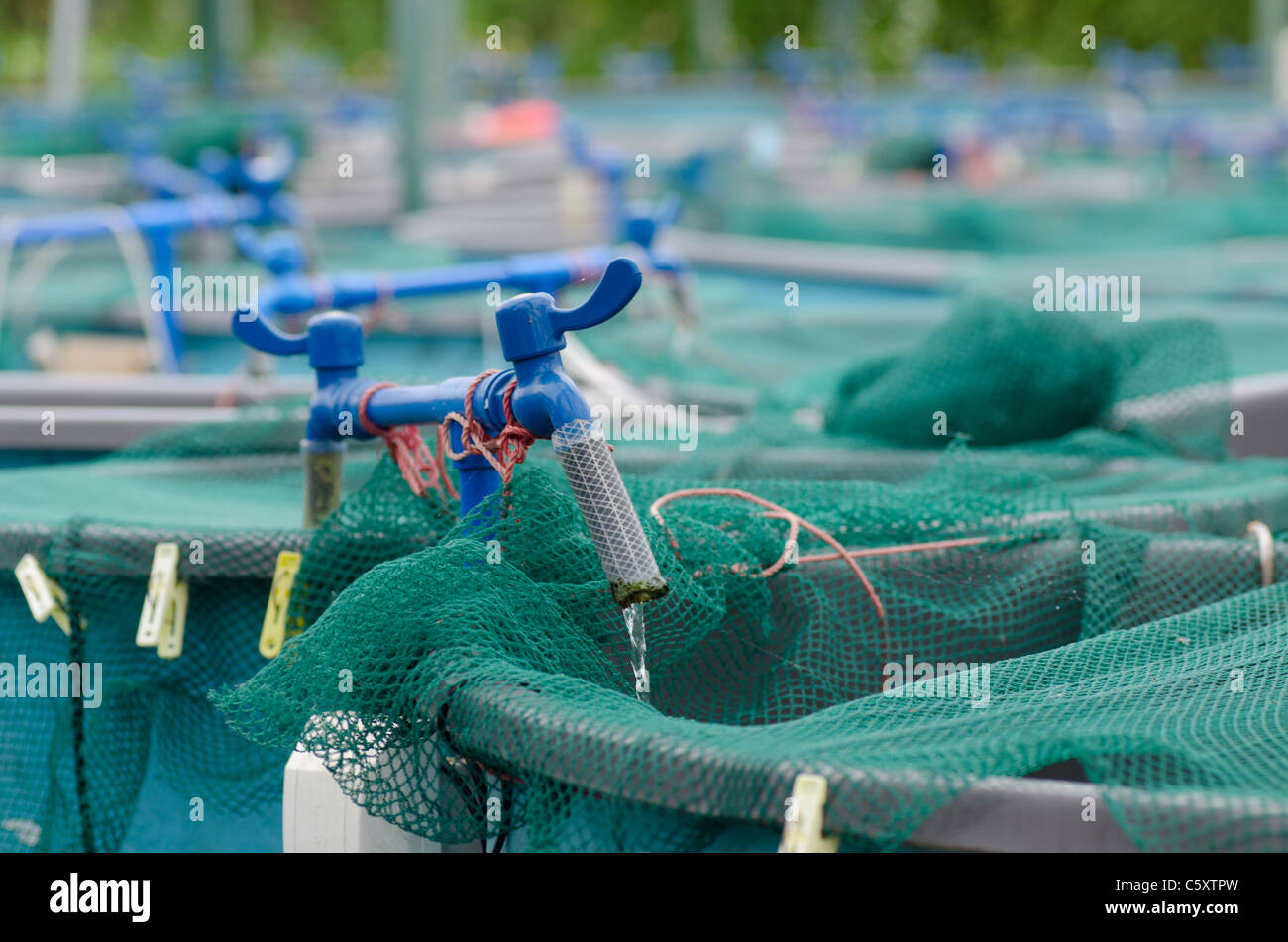 Agriculture aquaculture water system farm Stock Photo - Alamy