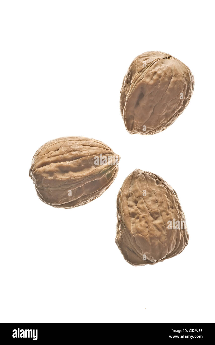 Isolated nuts studio composition on white background Stock Photo - Alamy