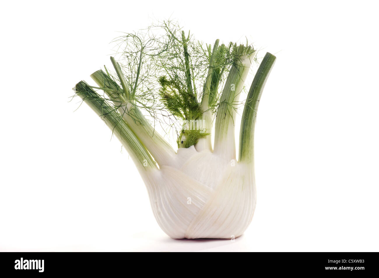 Fresh anise the image on white background Stock Photo - Alamy