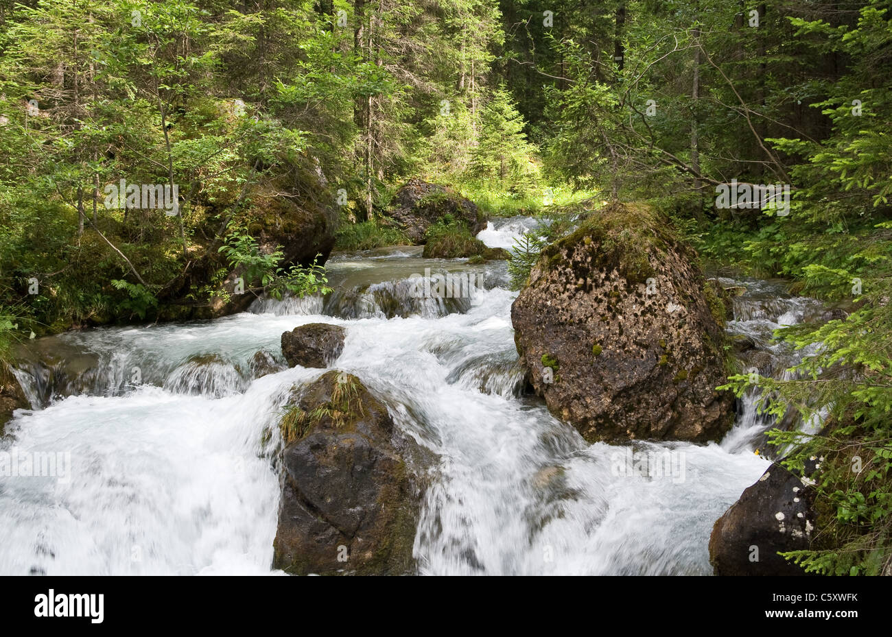 beautiful nature scene with river and waterfall at summer in val di ...
