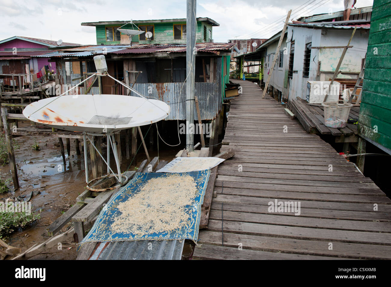 Rice Drying by an Old Satellite Dish in Kampong Ayer Water Village in ...