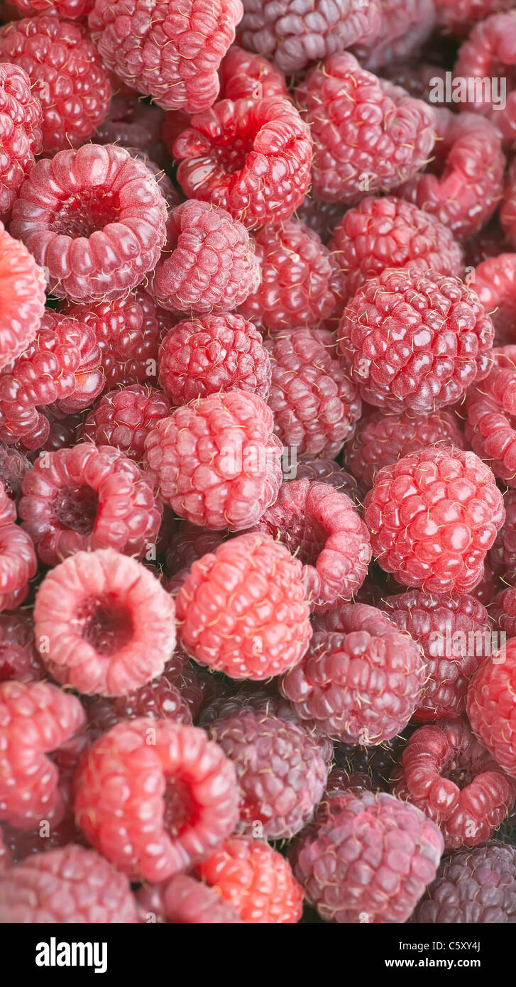 Macro of a stack of raspberries against white background Stock Photo ...