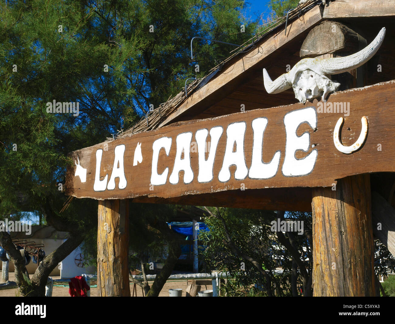 horse, La Cavale, France, Camargue Stock Photo - Alamy