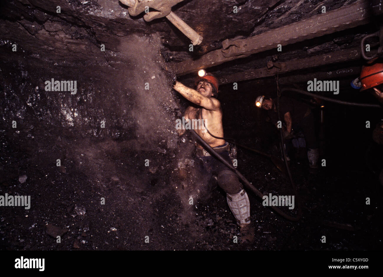 Underground Mine Workers Stock Photos & Underground Mine Workers Stock ...