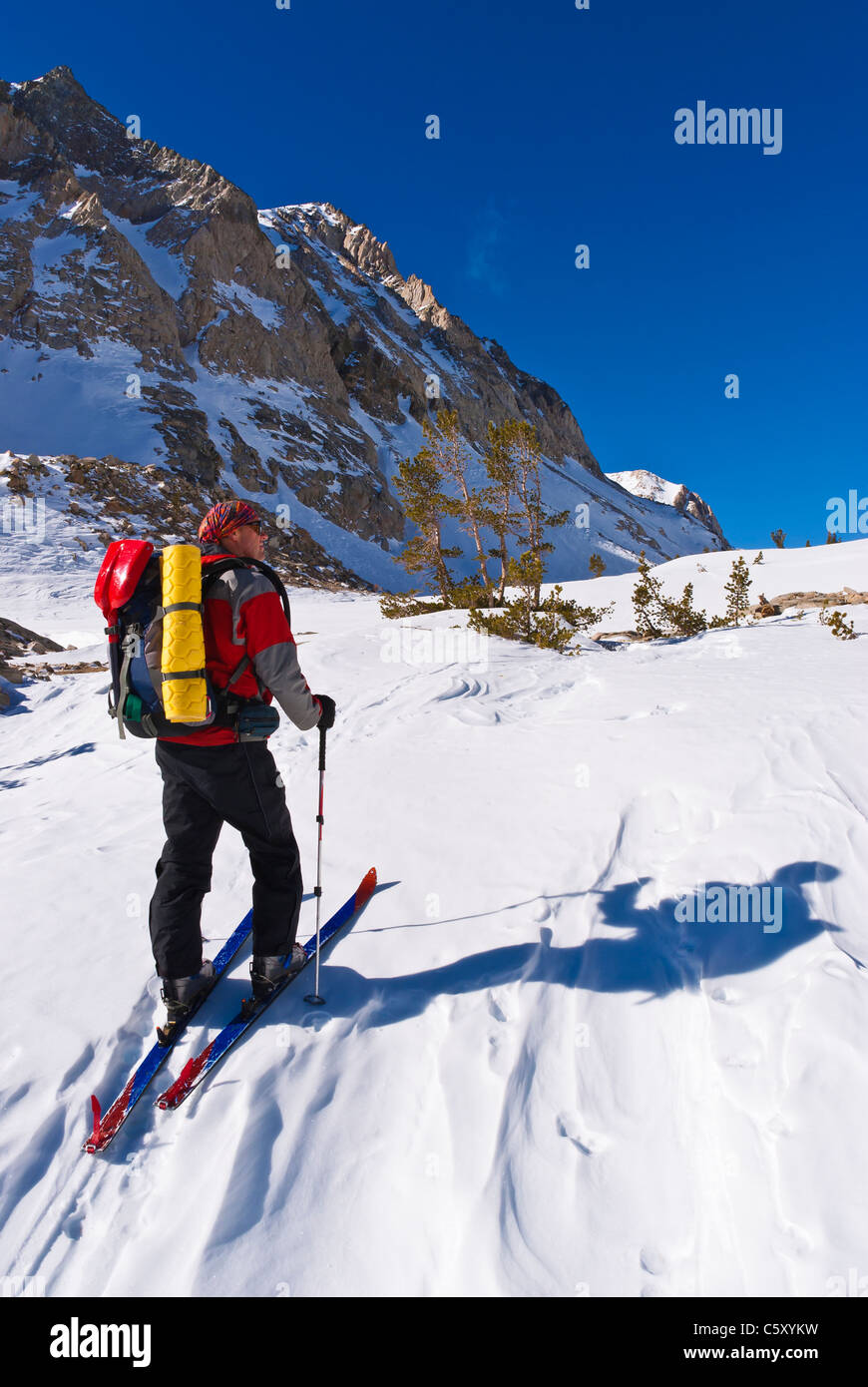 Backcountry skier climbing Piute Pass, Inyo National Forest, Sierra ...
