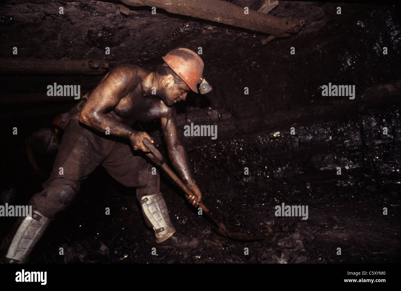 Coal Miner working underground Chile Stock Photo, Royalty Free Image ...