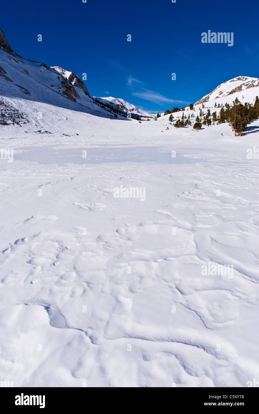 Windswept snow on Loch Leven in winter, Inyo National Forest, Sierra ...