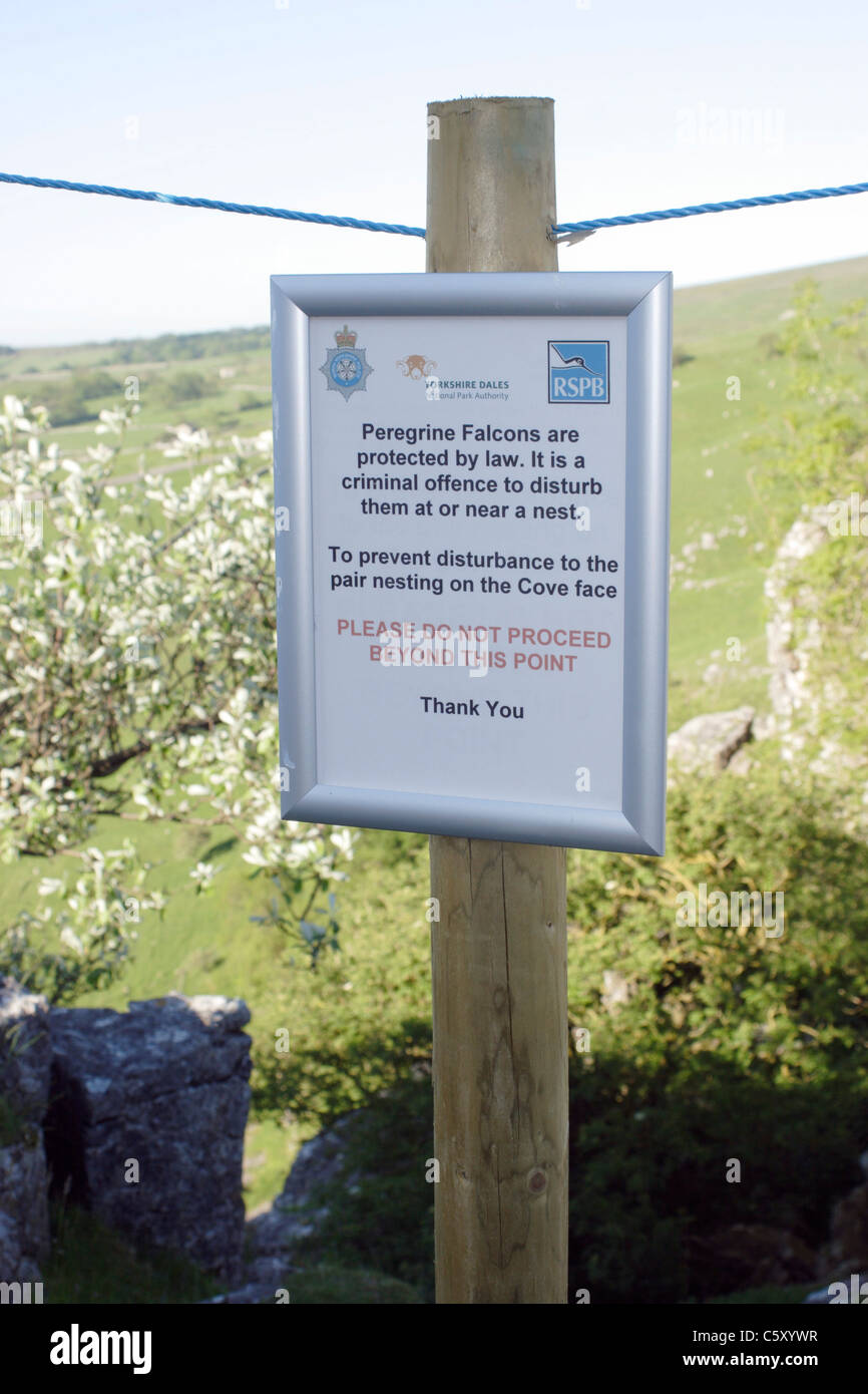 RSPB sign explaining that Peregrine Falcons are protected, edge of ...