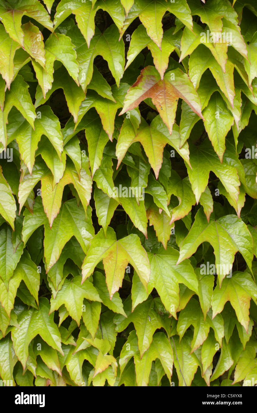 Quintessential yorkshire dales hi-res stock photography and images - Alamy