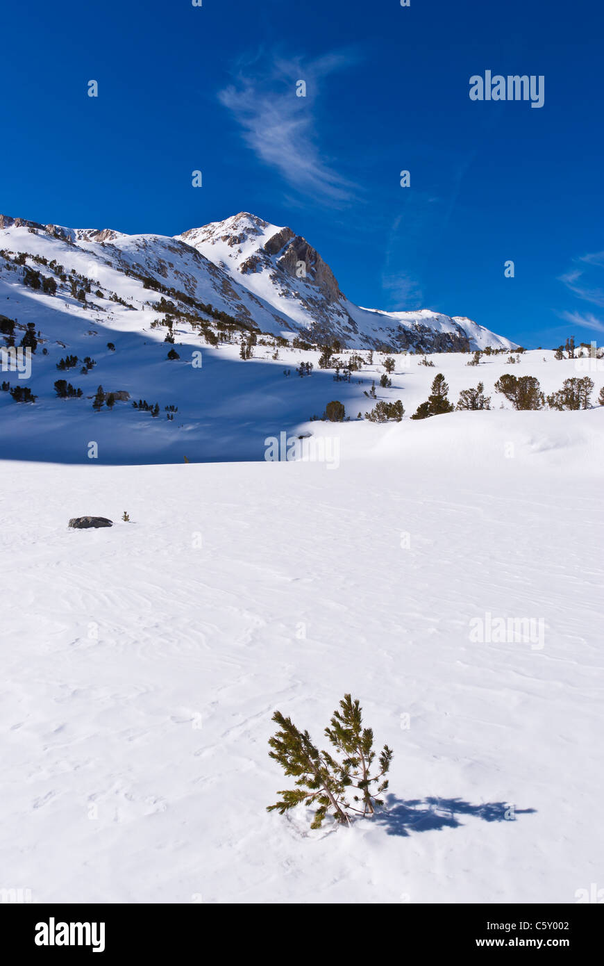 Sierra peaks below Piute Pass in winter, Inyo National Forest, Sierra ...