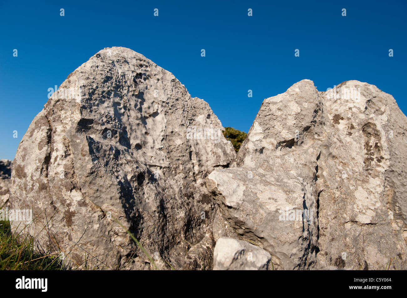 Close up of Limestone Rocks Stock Photo - Alamy