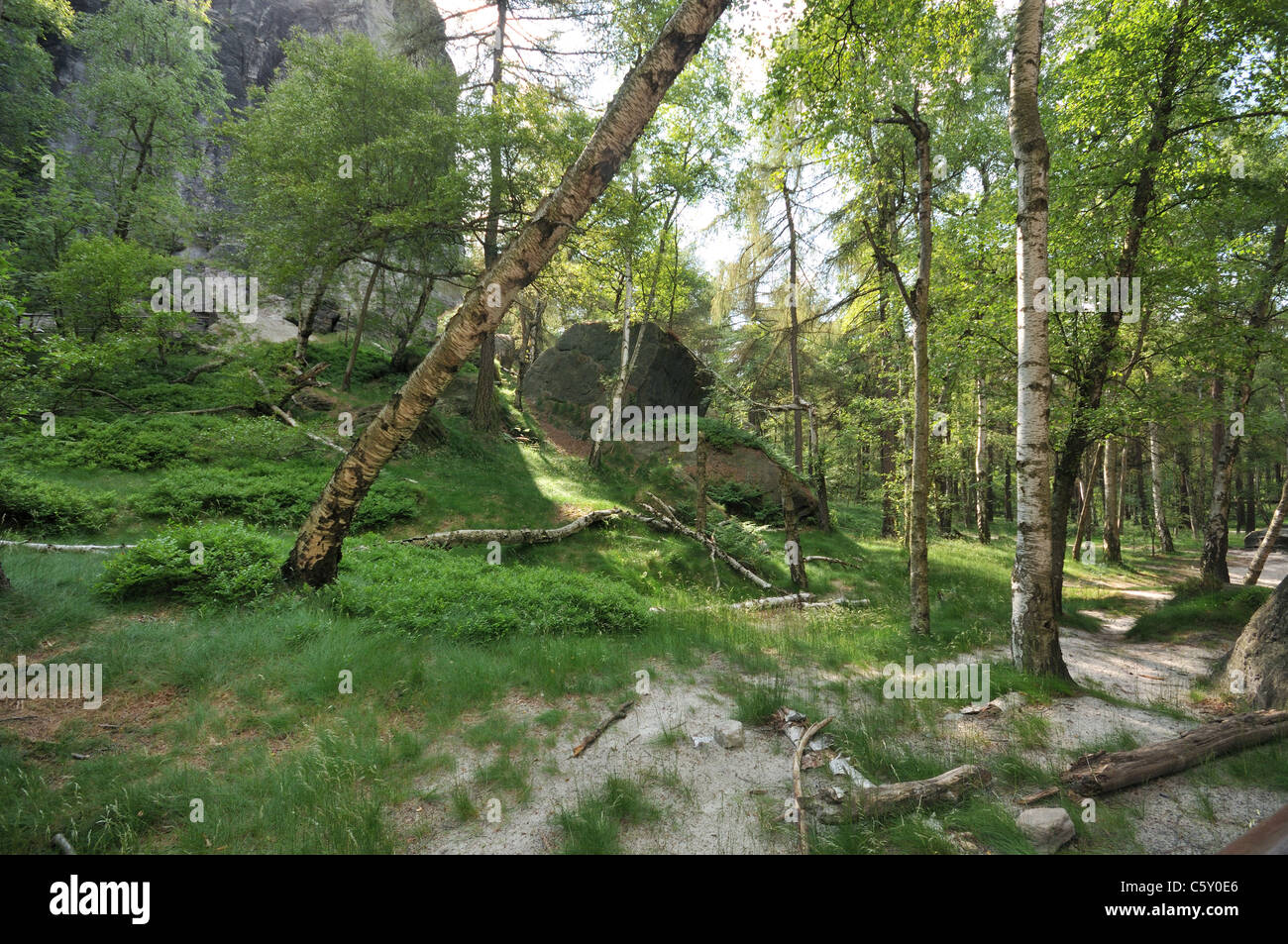 Tisa rocks hi-res stock photography and images - Alamy