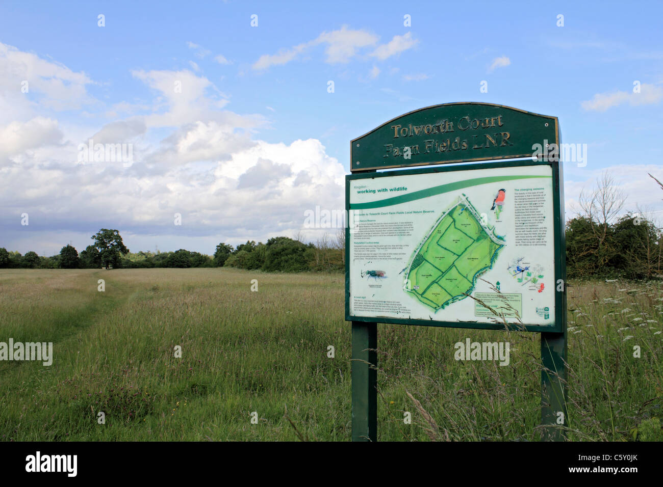 Summer scene at Local Nature Reserve, Tolworth Court Farm Surrey ...